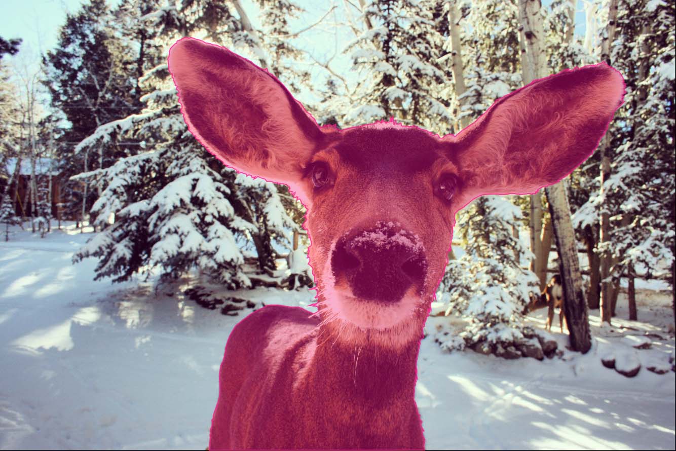 Teaching Automotive AI How to Recognize and Avoid Wildlife