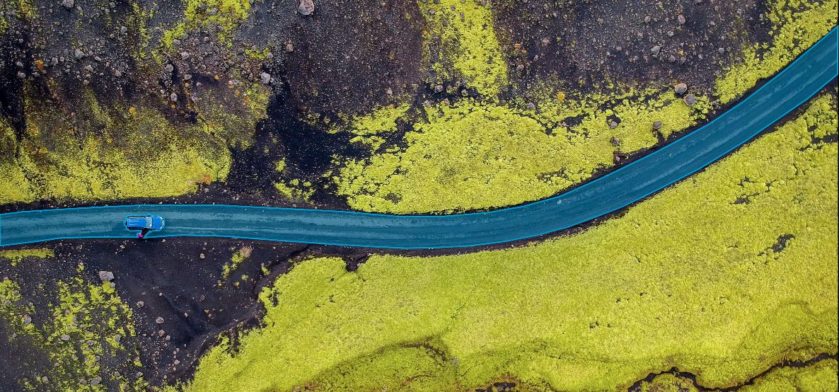 Polygon Annotation for Computer Vision | Keymakr